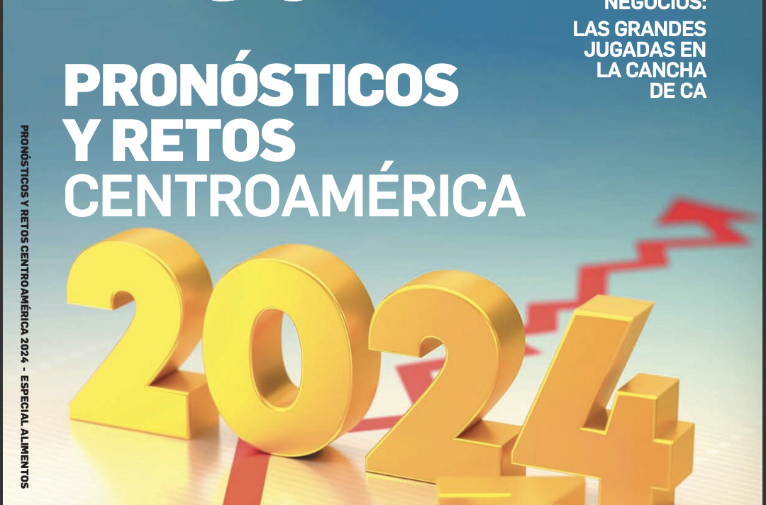 Corporación Multi Inversiones y la estrategia de crecimiento que E&N ...